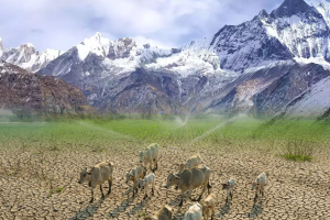 Understanding The El Niño Effect and its impact in India - Sudoor ...